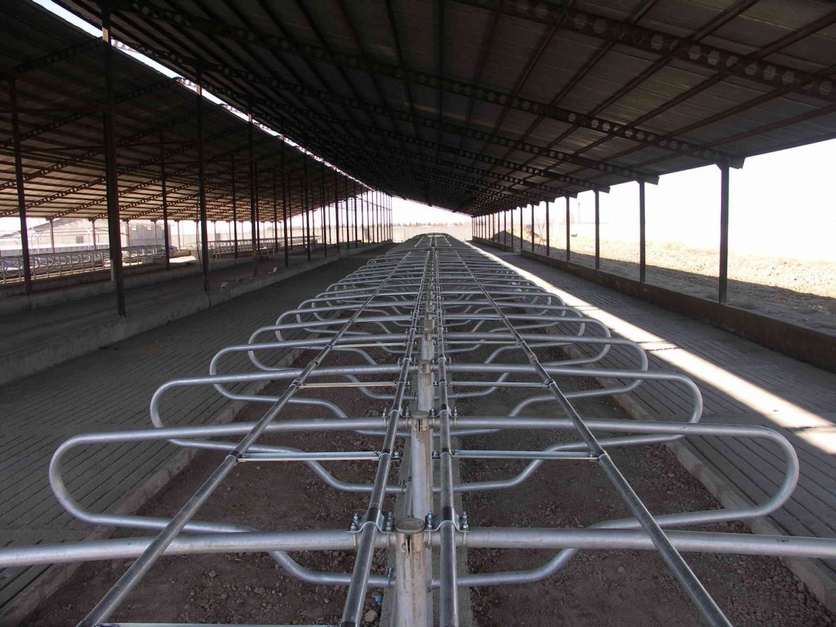 Free Stalls – Nolan Livestock and Agricultural Group